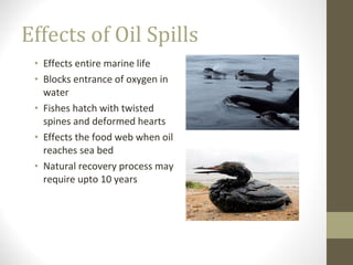 Oil spills prevention | PPT