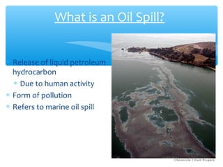 Oil spills | PPT