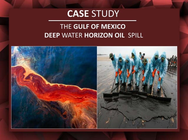 Oil spills : best project awardee | PPT