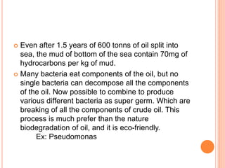 Oil spills pollution | PPTX
