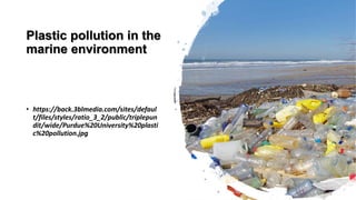 Oil theft and marine pollution in the Niger Delta: causes and potential solutions | PPT