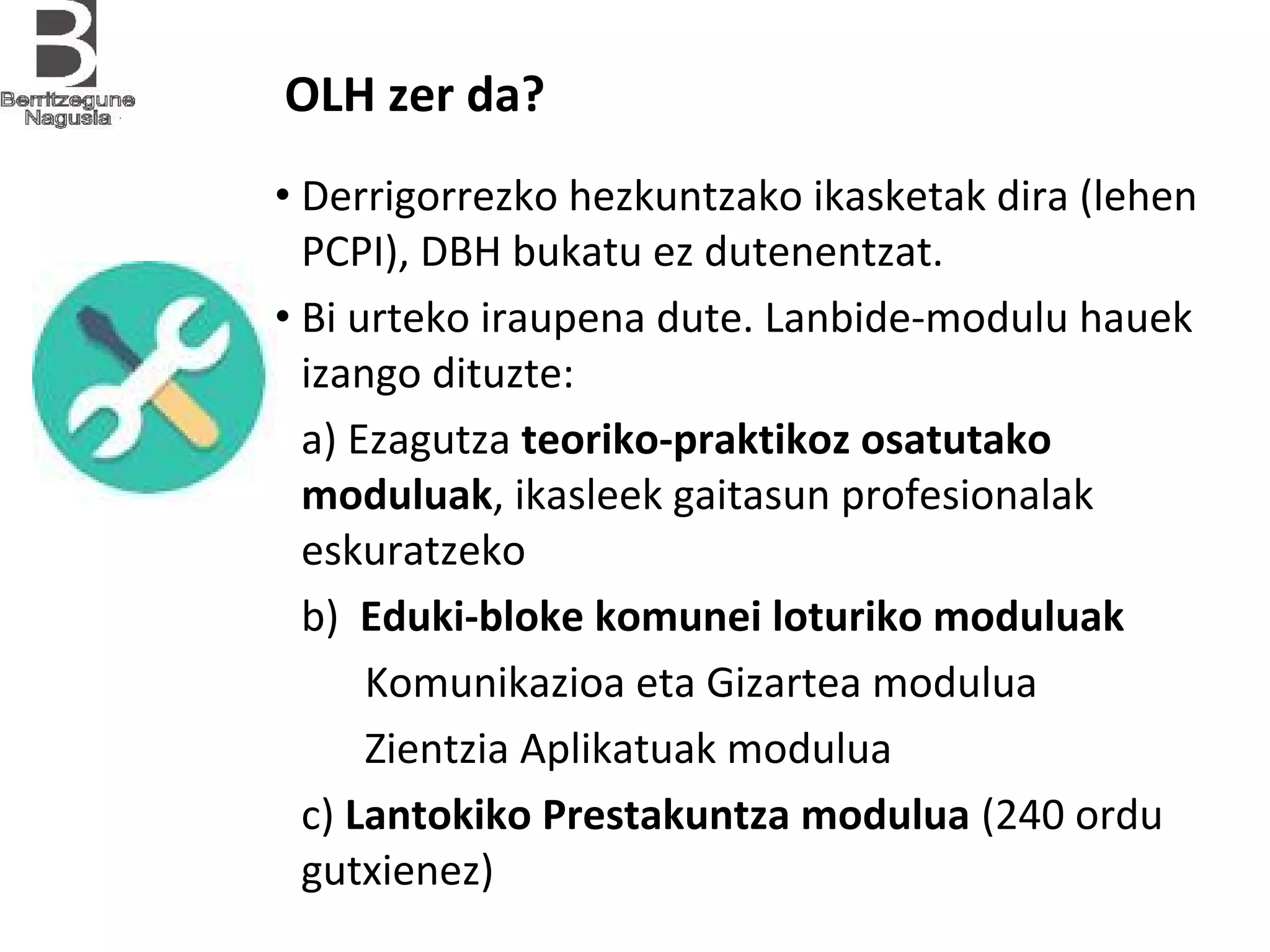 Oinarrizko lanbide heziketa olh | PDF