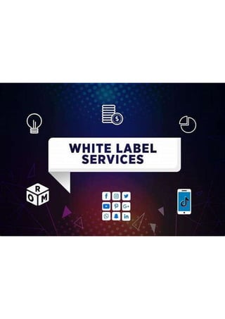 White Label Solutions enables faster launches of ready-made software. | PDF