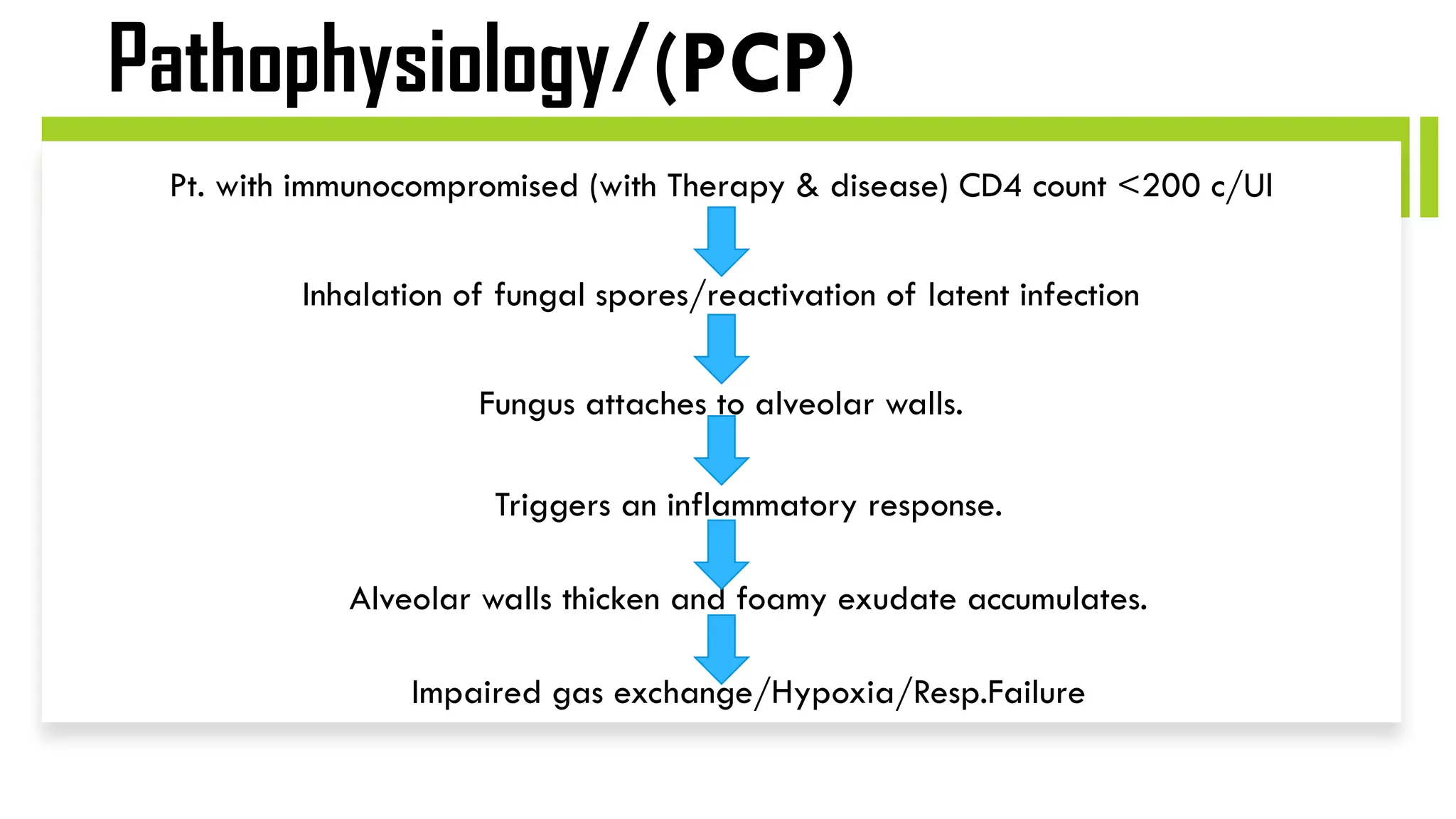 OI SEMINAR IN PEDIATRICS(PCP, Toxoplasmosis, and Candidiasis(Thrush ...