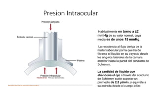 Fisiología del Ojo | PPTX