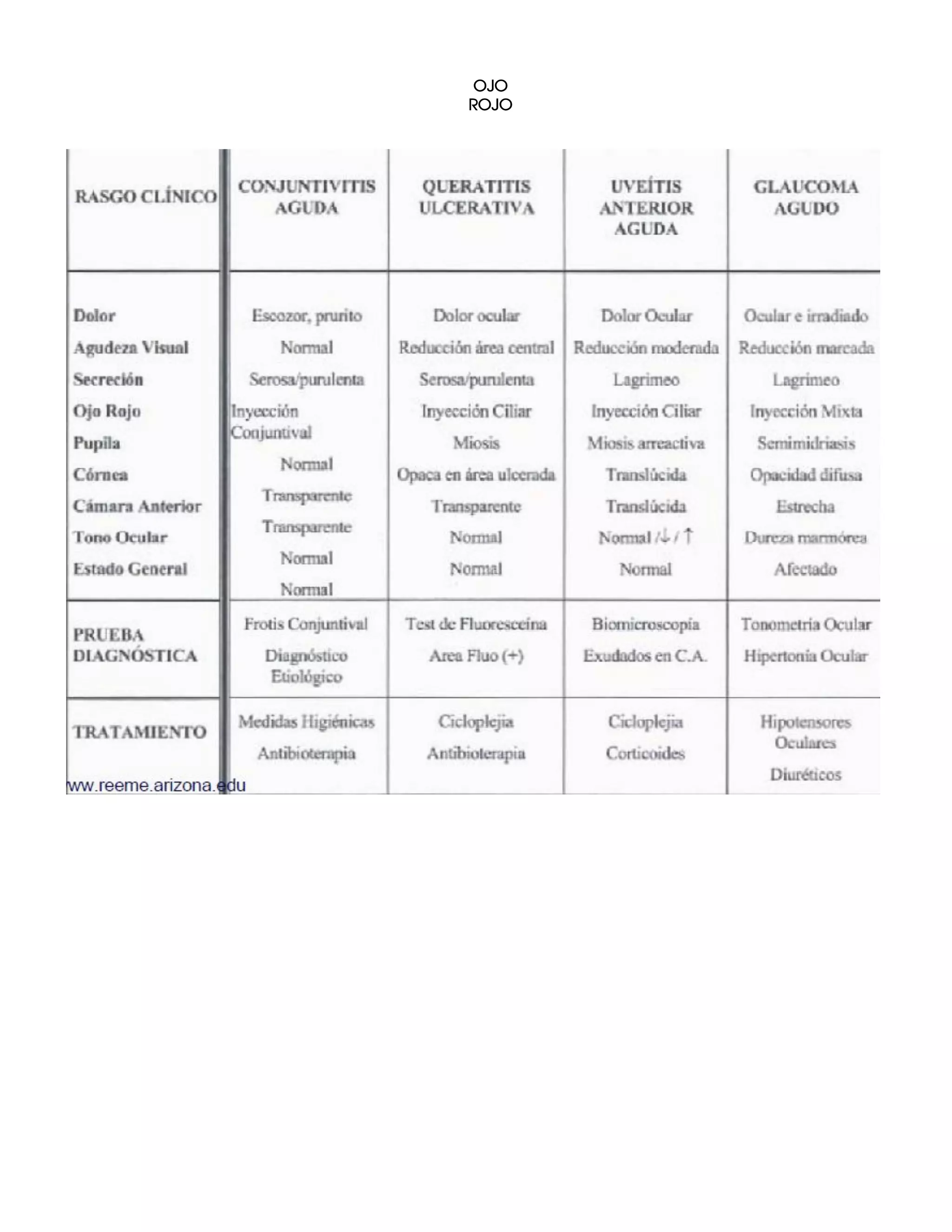 Ojo rojo | PDF