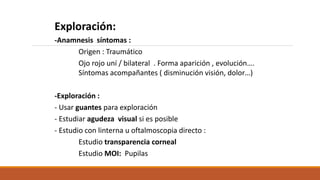Ojo rojo | PPTX
