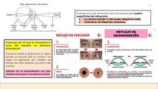 OJO ROJO Y DEFECTOS DE LA REFRACCIÓN.pdf