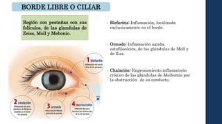 Ojos | PPTX