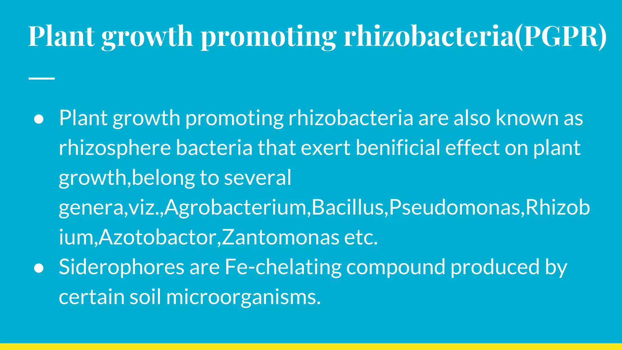 BIOFERTILIZER | PPTX
