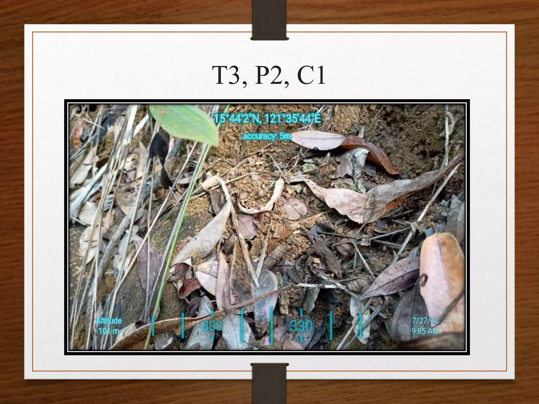 OJT_Group5_Final.pptx