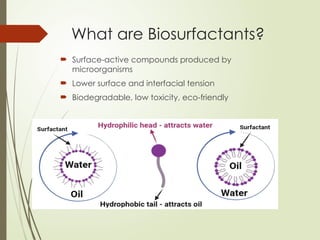 INTRODUCTION TO BIOSURFACTANT AND PRODUCTION | PPTX
