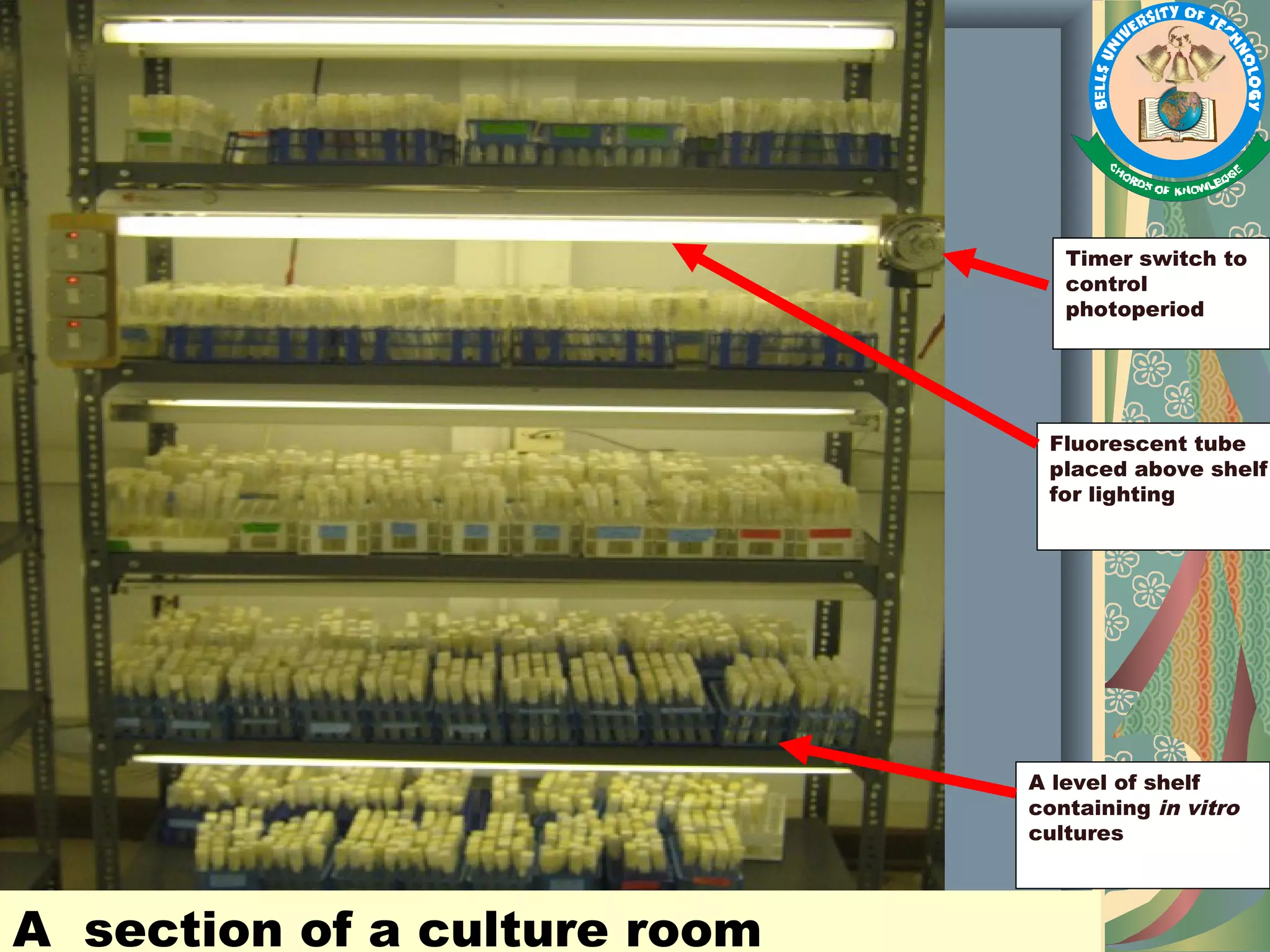 Plant Tissue Culture, Methods and Applications | PPT