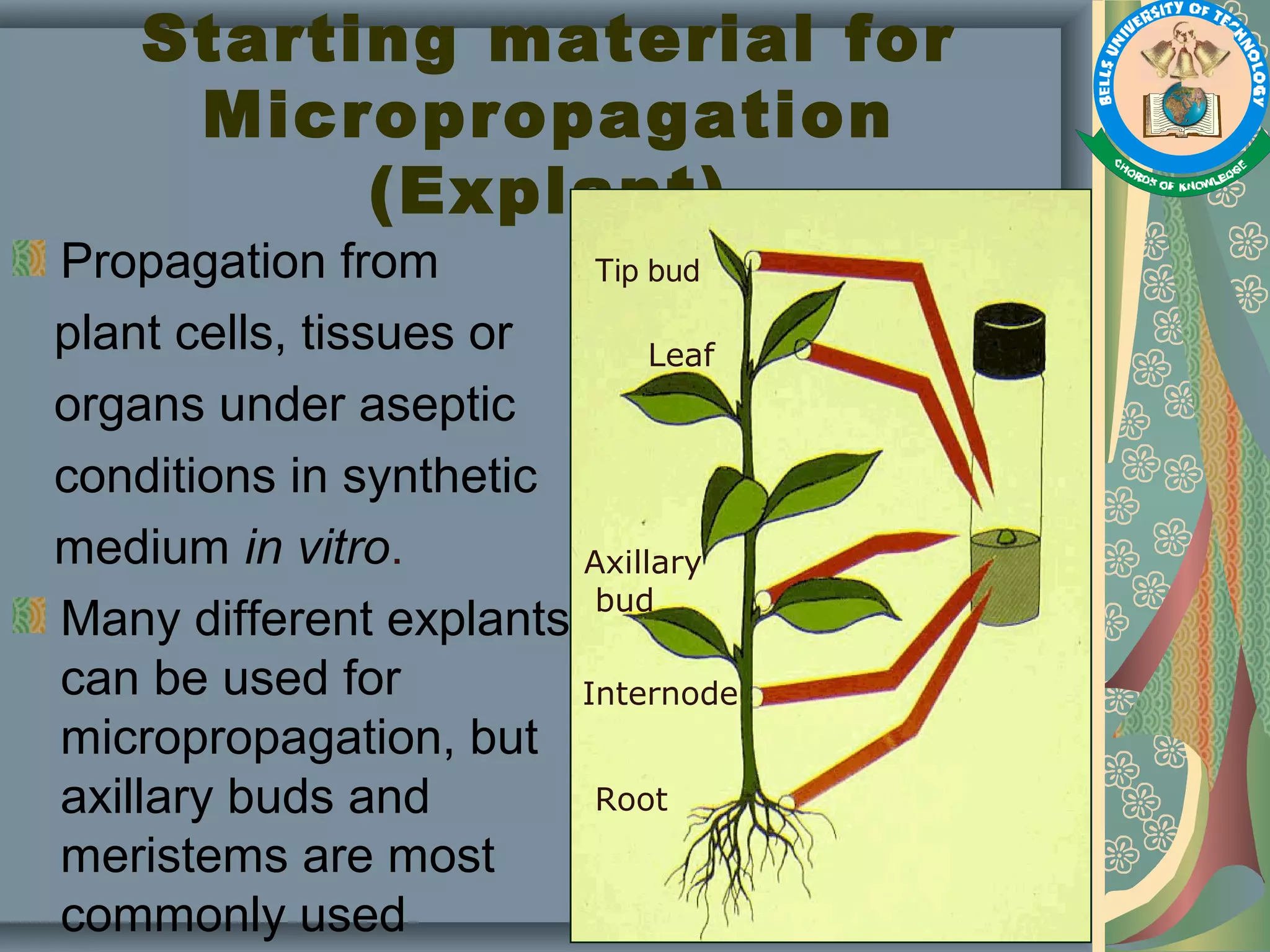 Plant Tissue Culture, Methods and Applications | PPT