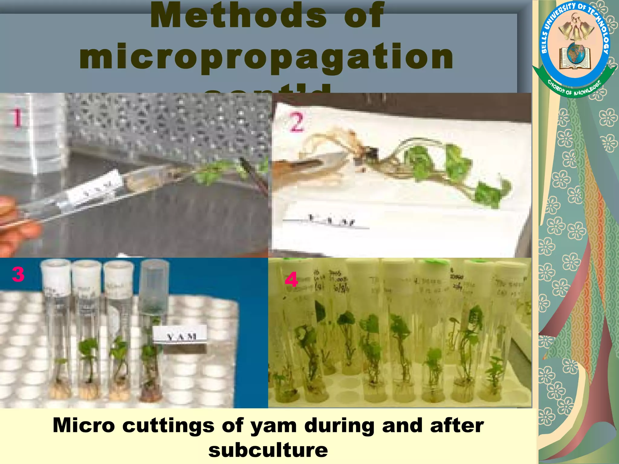 Plant Tissue Culture, Methods and Applications | PPT
