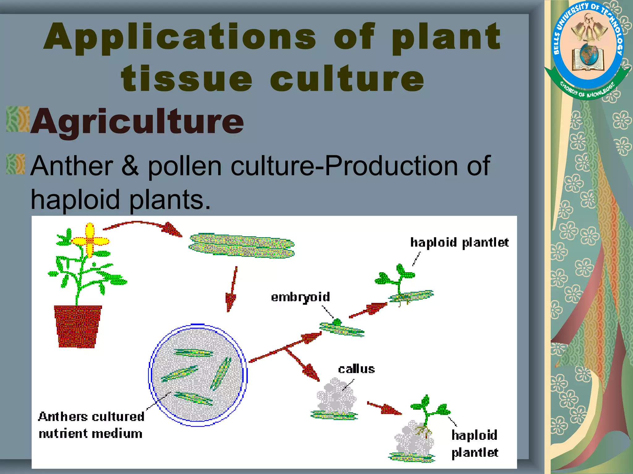 Plant Tissue Culture, Methods and Applications | PPT