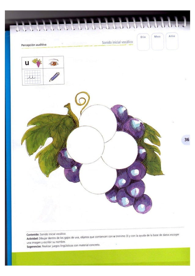 Ok. semilla kinder | PDF