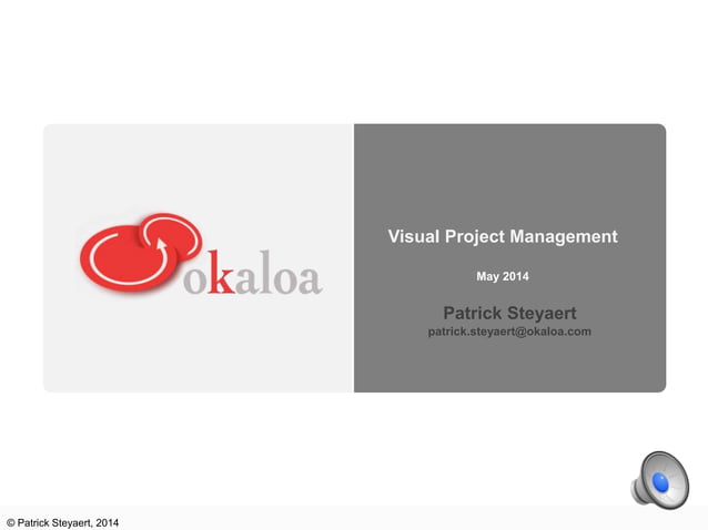 Visual Management Webinar - LeanKit & Patrick Steyaert | PPT