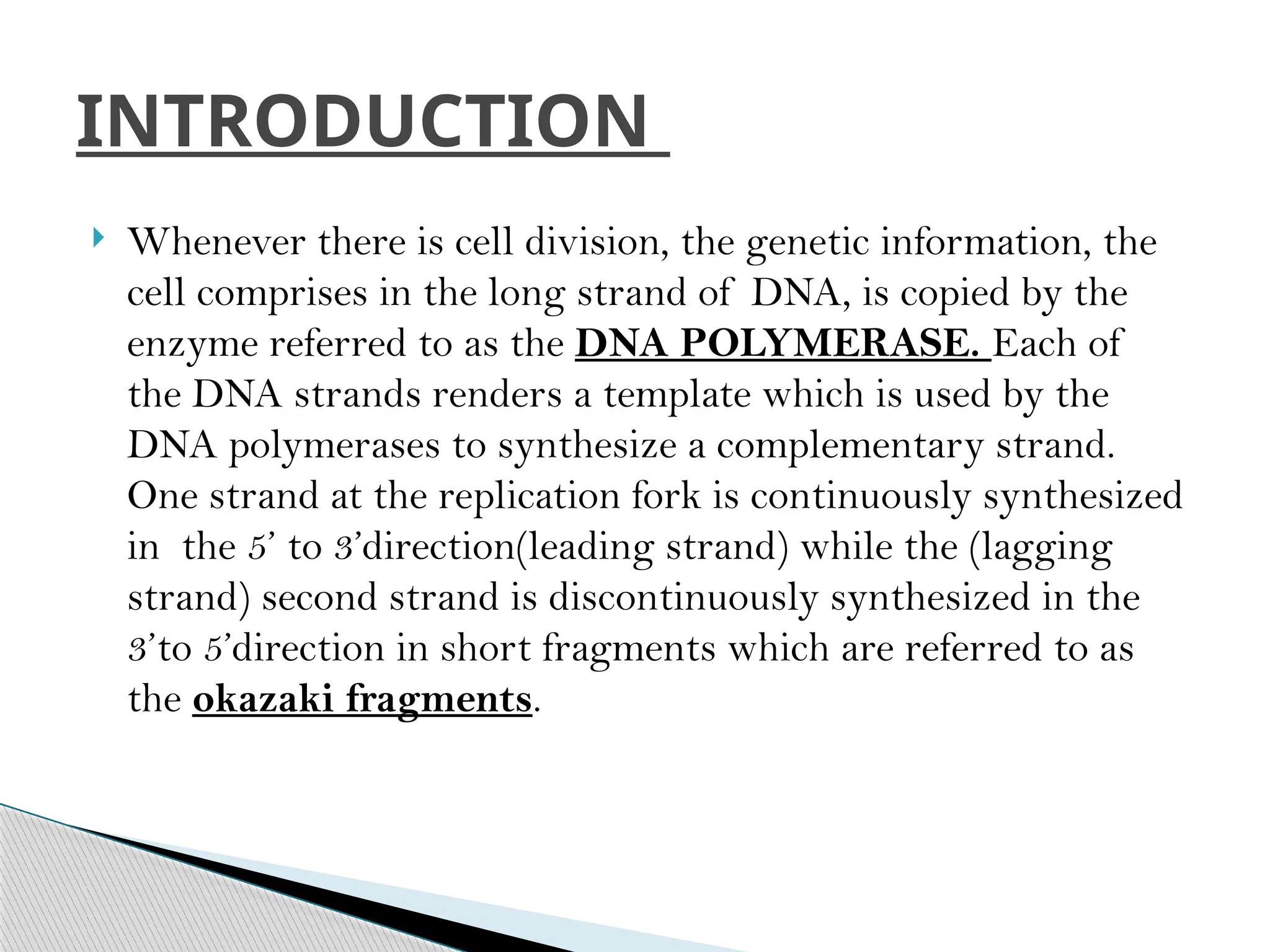 OKAZAKI FRAGMENTS presentation slide.pptx