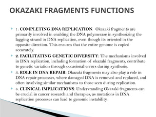 OKAZAKI FRAGMENTS presentation slide.pptx