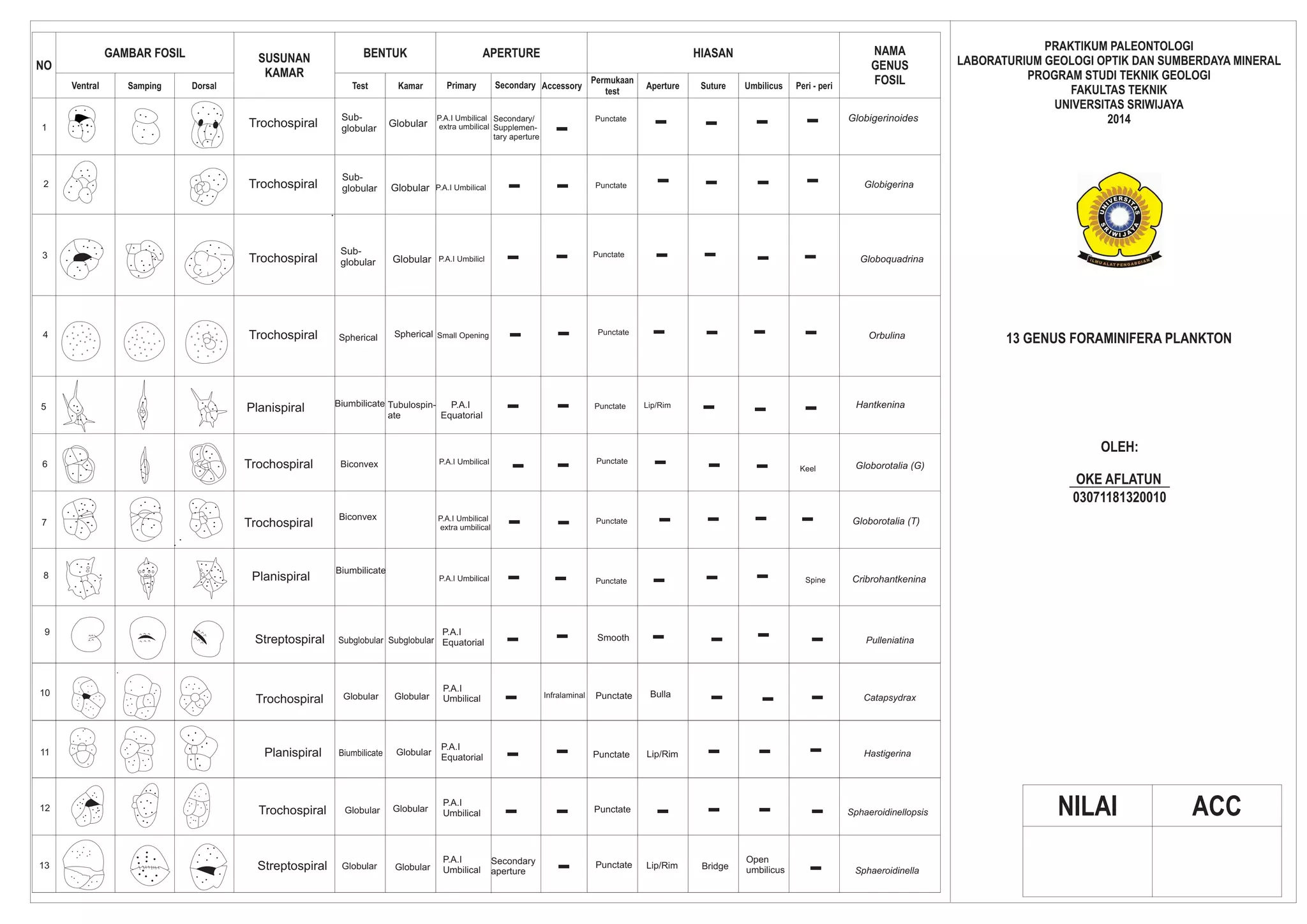 13 Genus Plankton | PDF | Geology | Science