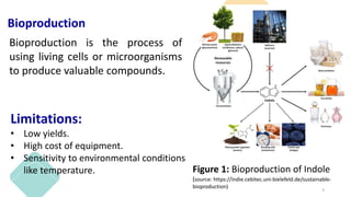 Metabolic engineering: road to a sustainable future | PPTX