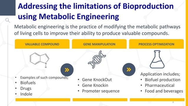 Metabolic engineering: road to a sustainable future | PPTX