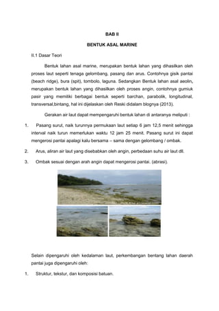 Laporan Bentuk Asal Marine Daerah Bengkulu | DOCX