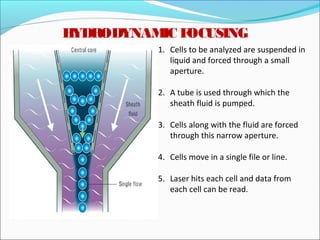 flow cytometry presentation | PPT