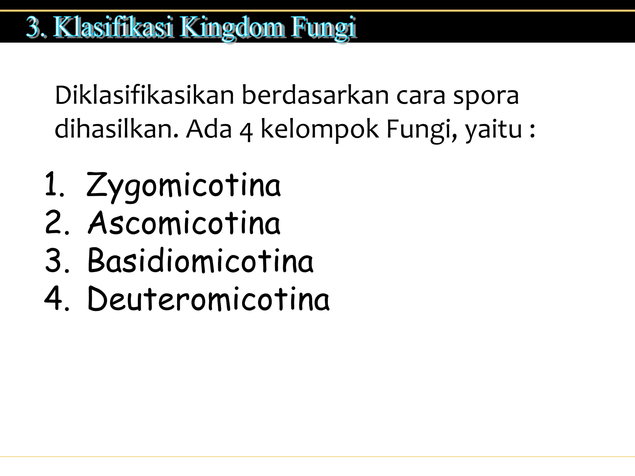 OK fungi.ppt