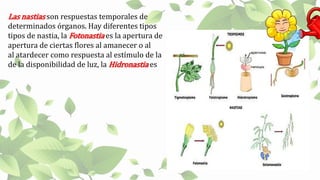 Estímulos en los seres vivos | PPTX