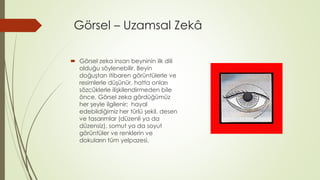 cOklu zeka kurami | PPT | Free Download