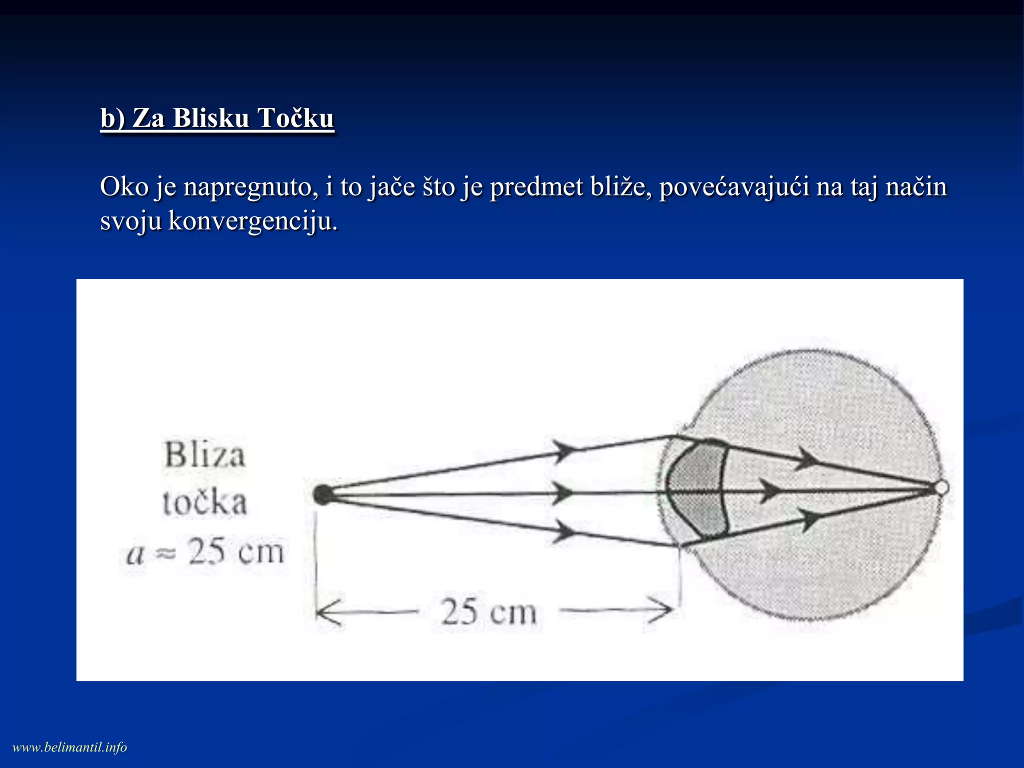 Oko anatomija i fiziologija | PDF