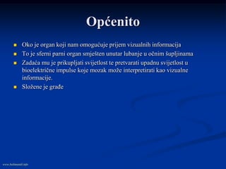 Oko anatomija i fiziologija | PDF