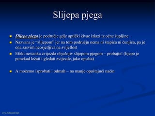 Oko anatomija i fiziologija | PDF