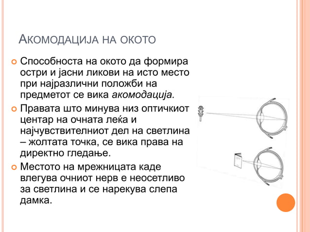 Okoto kako opticki sistem | PPTX