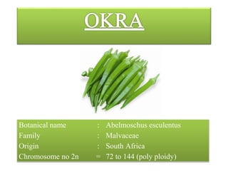 Okra | PPTX