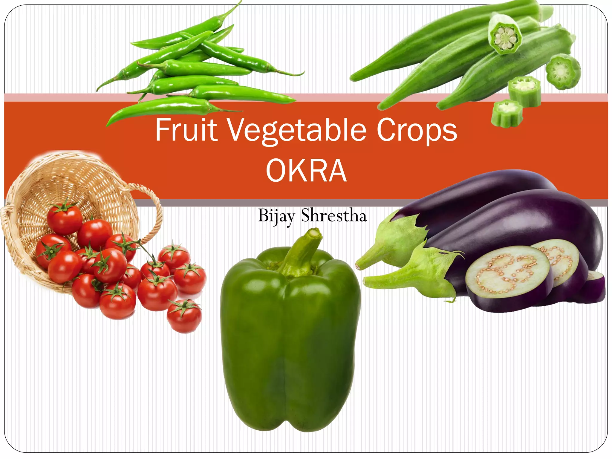 Okra | PDF