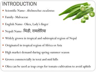 Okra | PDF