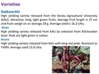 Okra | PPT