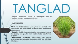 Garden Plants with name and it's benefit | PPTX