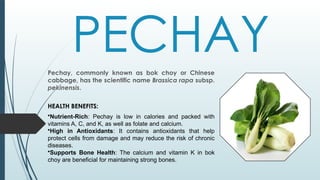 Garden Plants with name and it's benefit | PPTX