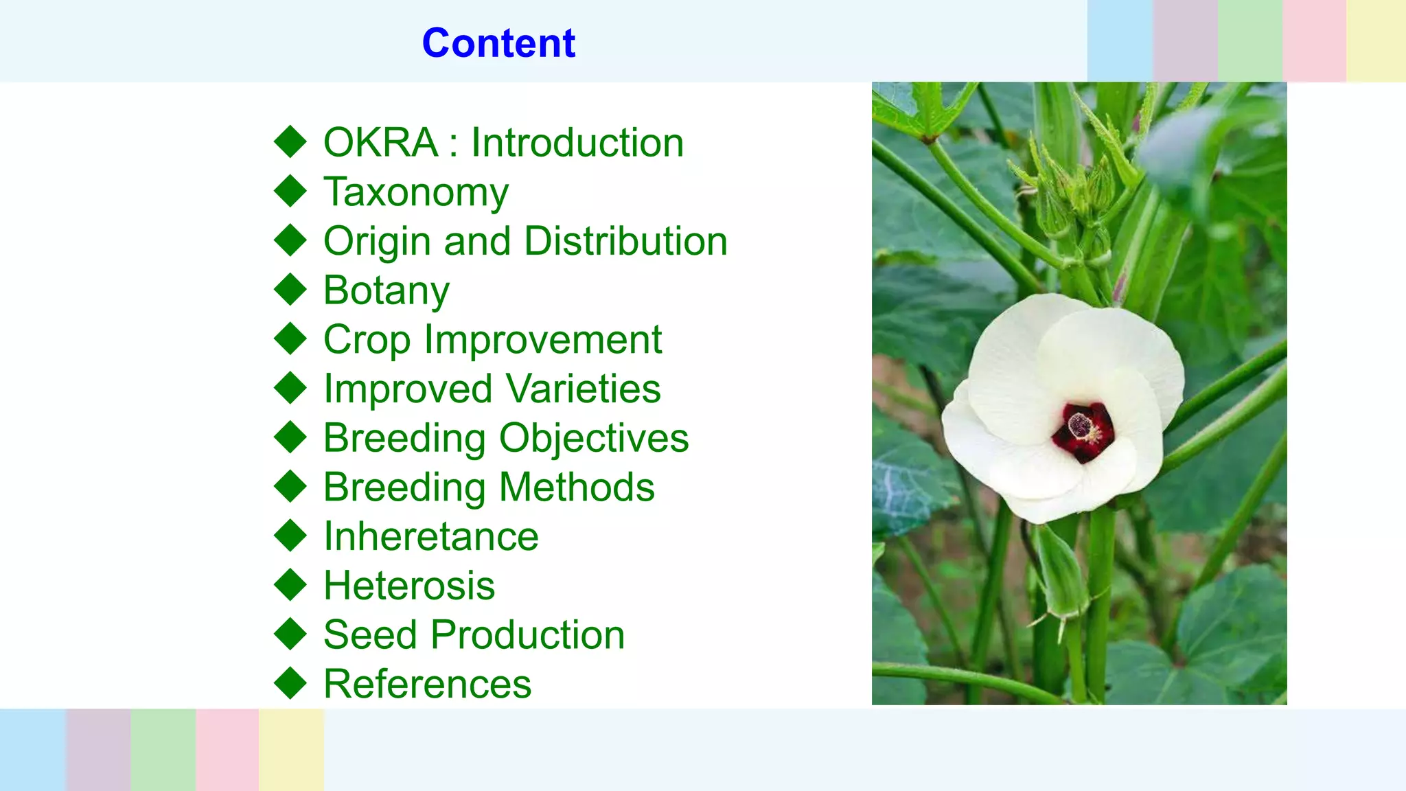 Okra breeding (Breeding methods applicable in Okra) | PPTX