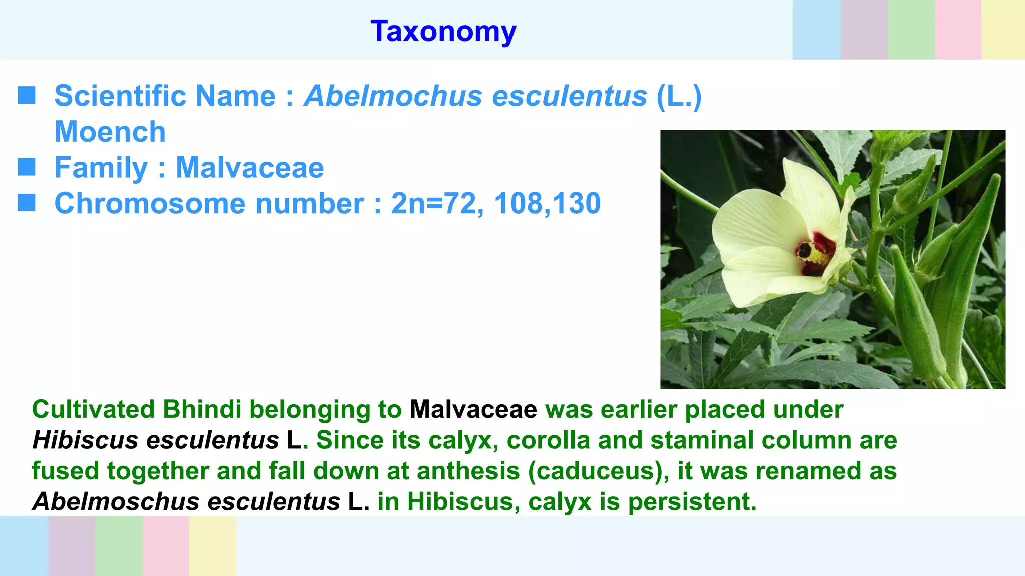 Okra breeding (Breeding methods applicable in Okra) | PPTX