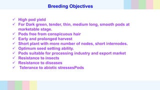 Okra breeding (Breeding methods applicable in Okra) | PPTX