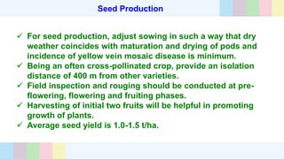 Okra breeding (Breeding methods applicable in Okra) | PPTX