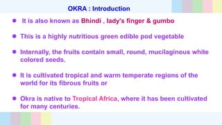 Okra breeding (Breeding methods applicable in Okra) | PPTX