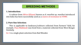 Okra breeding methods, objectives and important varieties | PDF