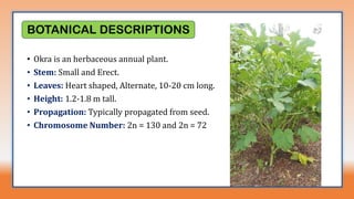Okra breeding methods, objectives and important varieties | PDF