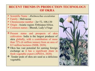 Recent trends in production technology of okra | PPTX